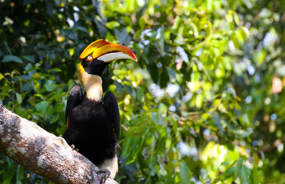 Dudhwa In Different Seasons: A Year-Round Wildlife Destination