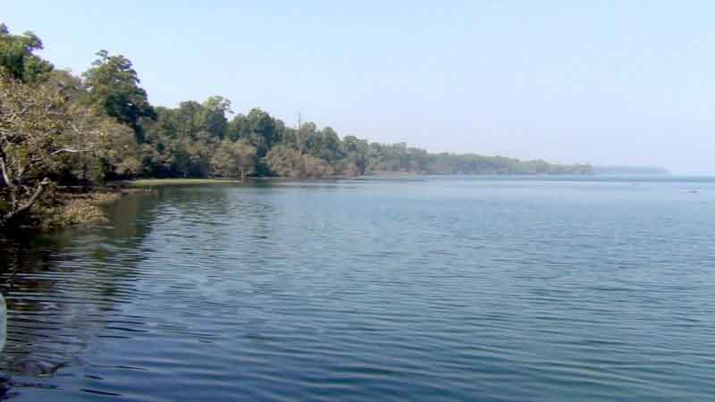 Pilibhit's Riverine Ecosystem: Beyond Tigers And Into Nature's Lap