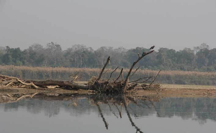 Exploring The Terai Ecosystem: Katarniaghat's Unique Landscape