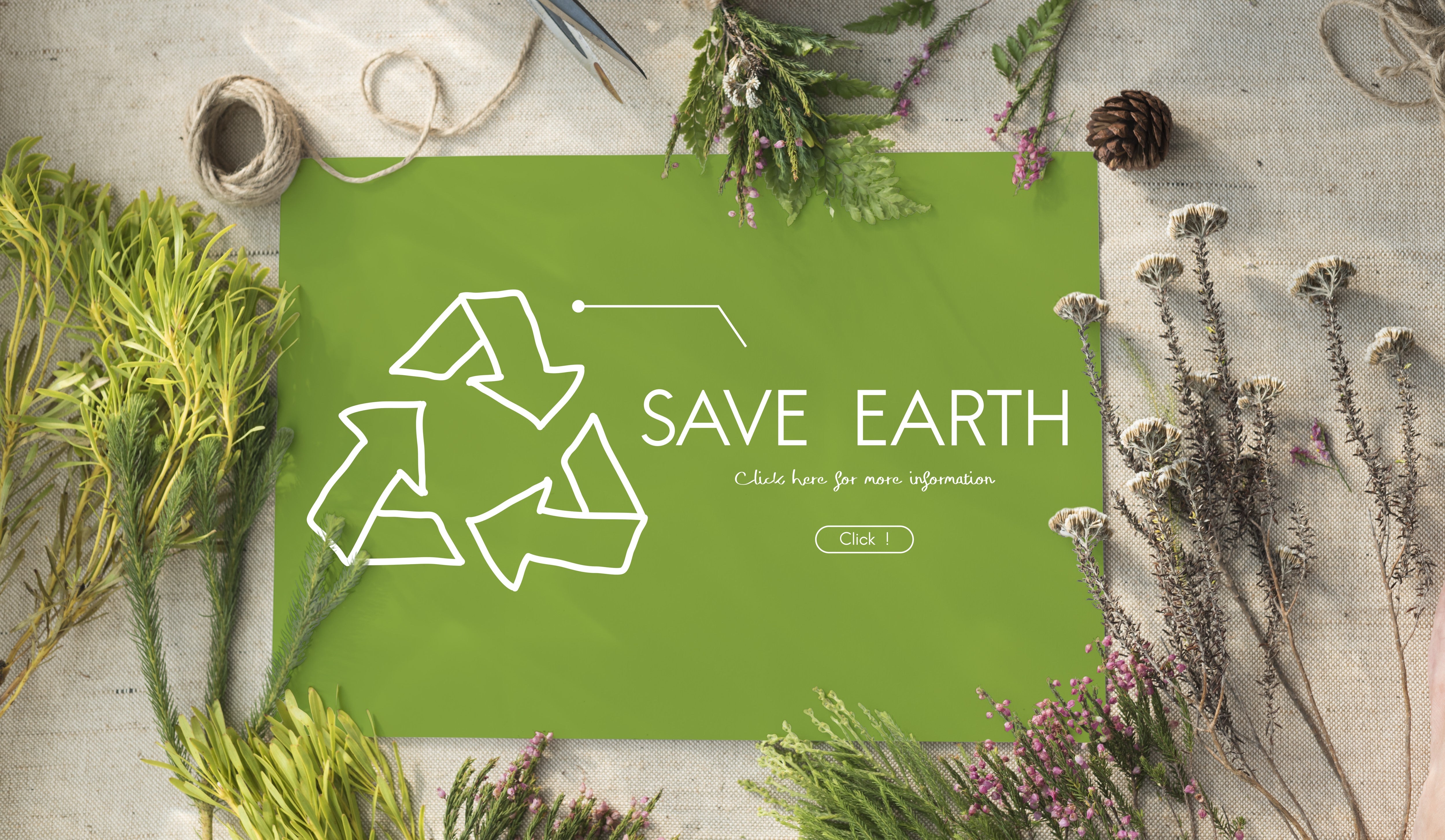 Greening The Globe: Seed Paper's Role In Global Environmental Initiatives